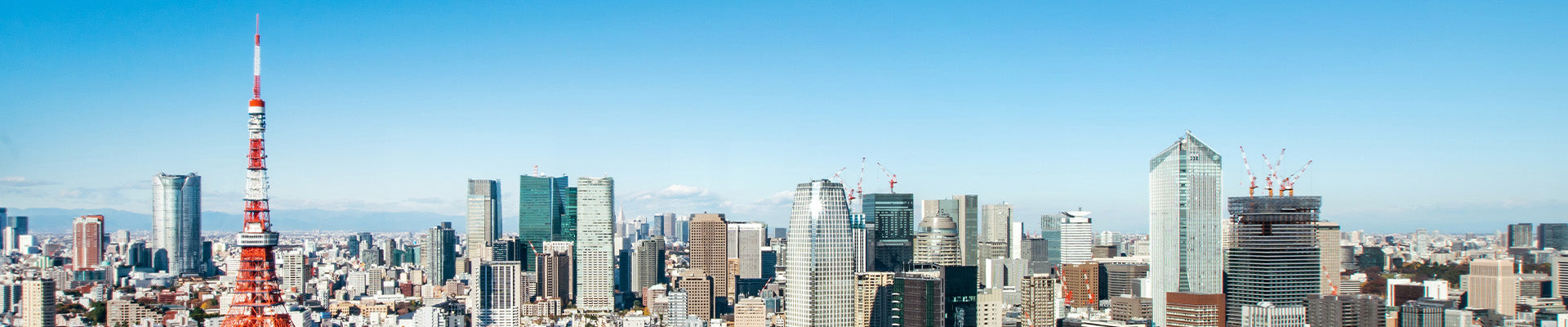 Japanese Frozen Food – city'super E-Shop