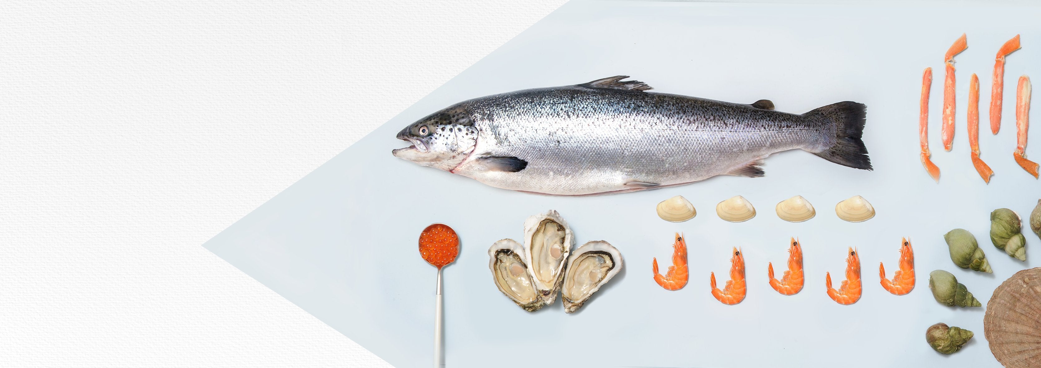 Fresh Shell Fish – city'super E-Shop