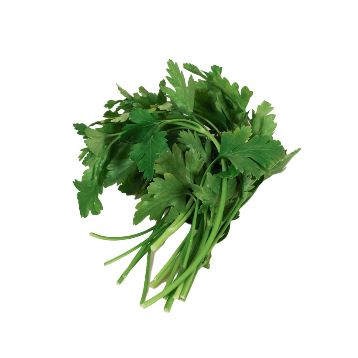 Kenyan Flat-leave Parsley (Pack) (1pack) – city'super E-Shop