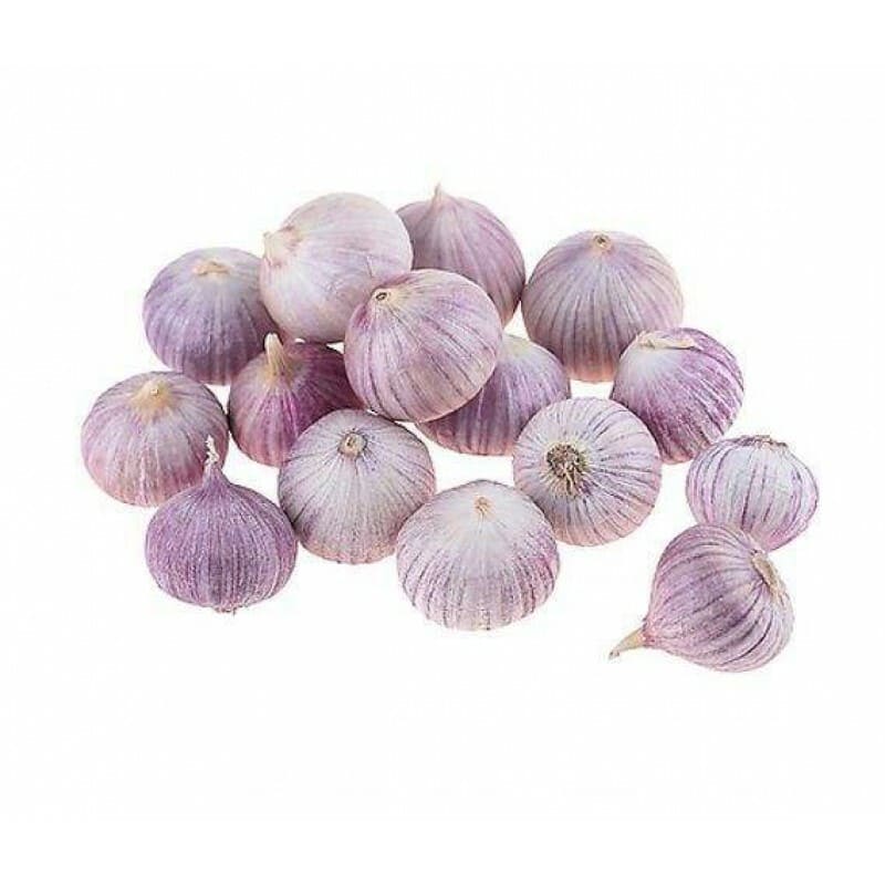 Chinese Solo Garlic (600g) – city'super E-Shop