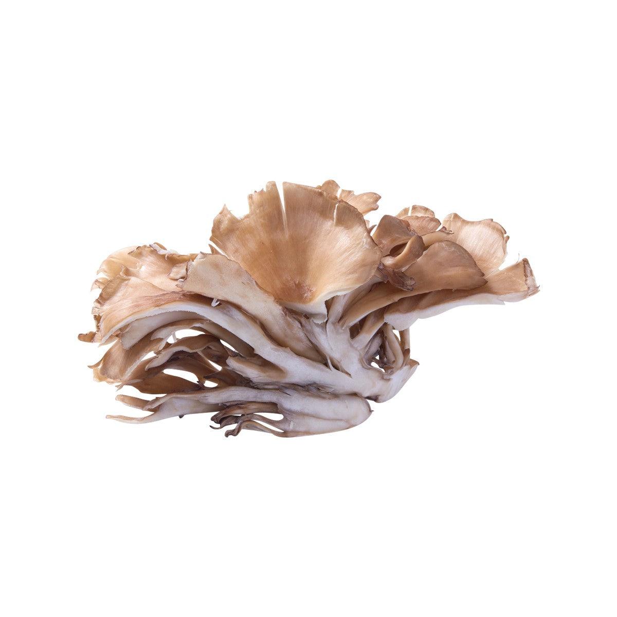 Japanese Maitake Mushroom (S) (70g) – city'super E-Shop