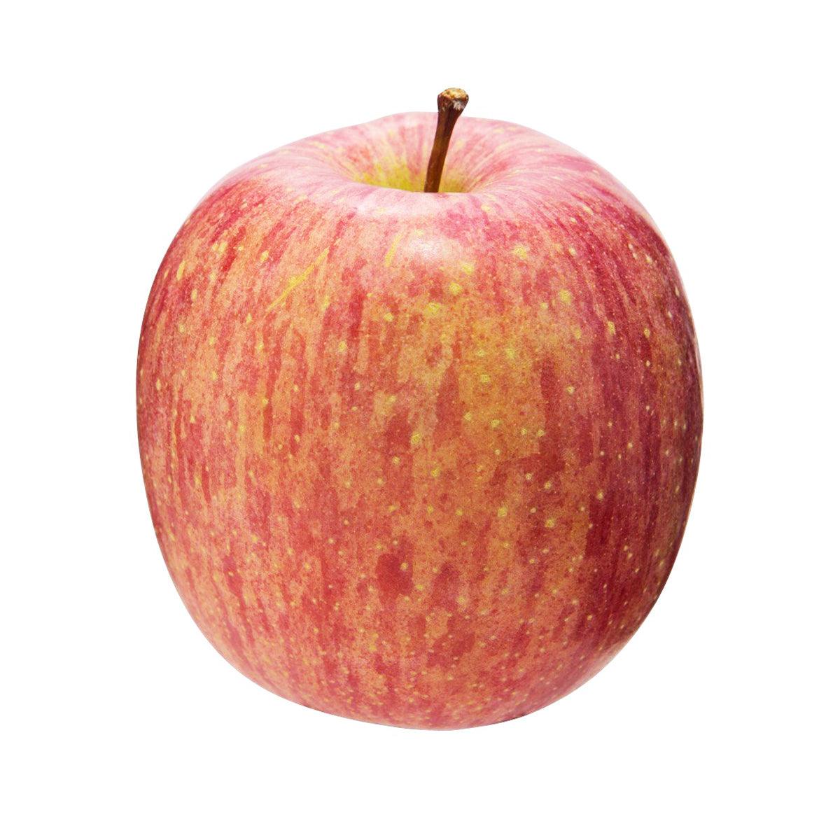 Japanese Sun Fuji Apple (1pc) – city'super E-Shop