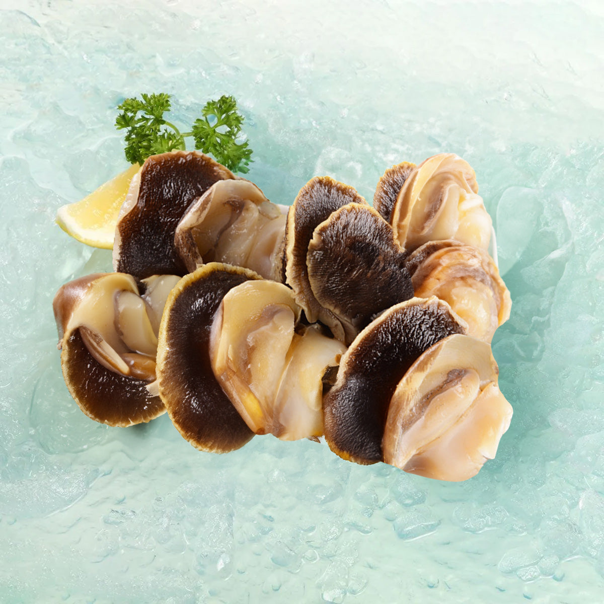 美國急凍黃響螺肉 - 雙加大 (3lb) – city'super E-Shop