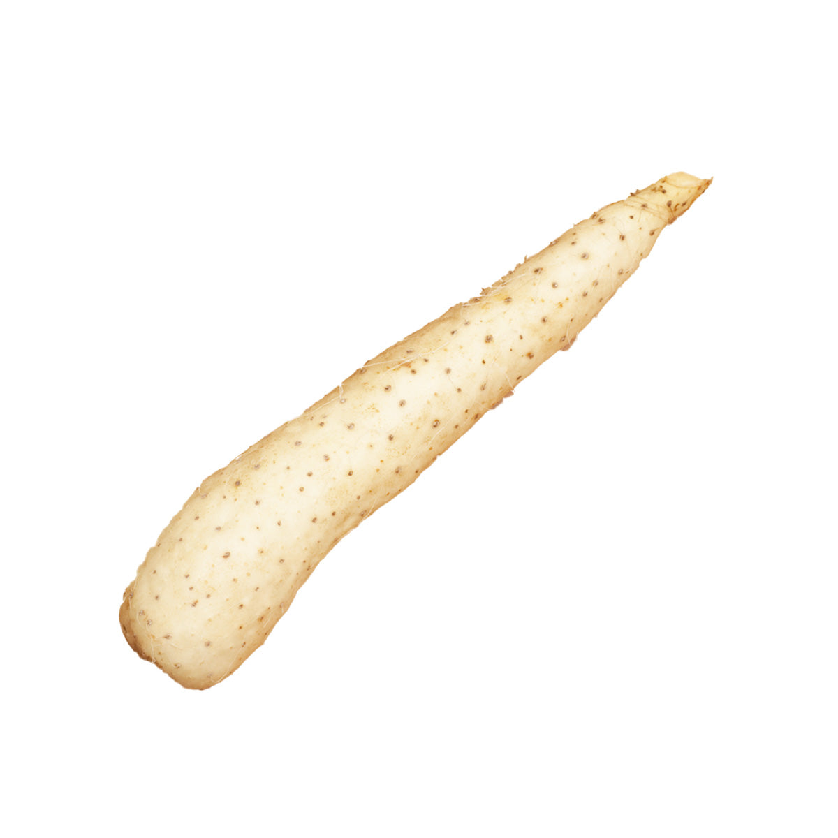 Japanese Nagaimo Yam (430g) – city'super E-Shop