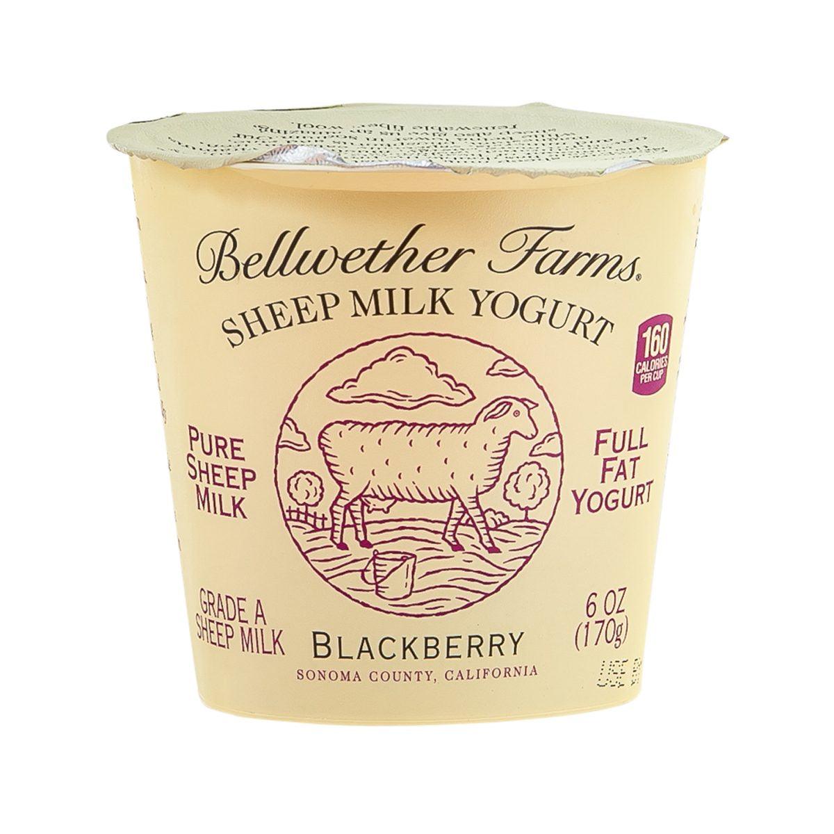 BELLWETHER FARM Sheep Milk Yogurt - Blackberry (170g) – city'super E-Shop