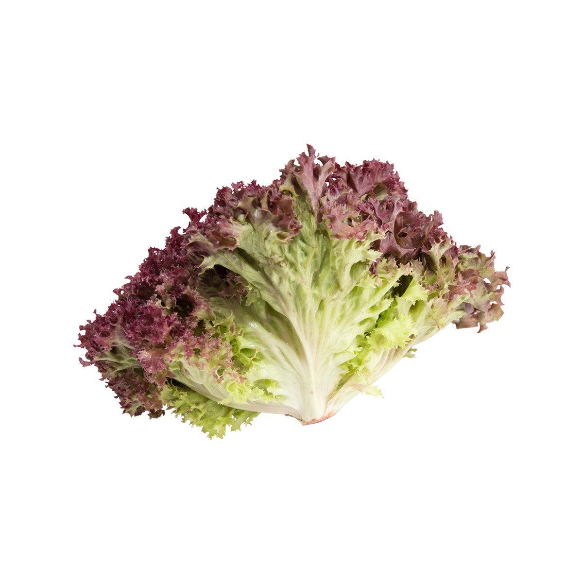 French Lollo Rosa Lettuce (170g) – city'super E-Shop