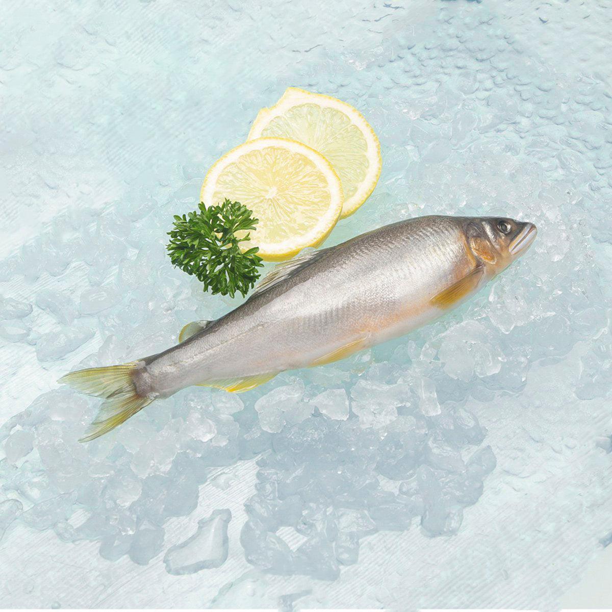 KIMURAAYU Japan Shiga Ayu Fish [Previously Frozen] (220g) – city'super ...