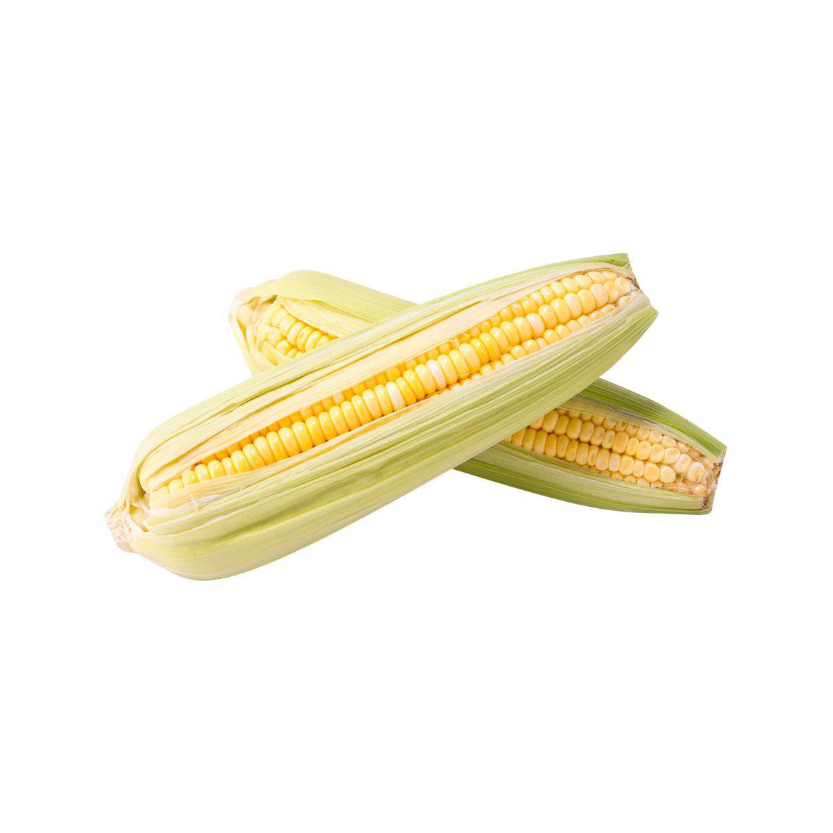 Local Organic Sweet Corn (1pack) – city'super E-Shop