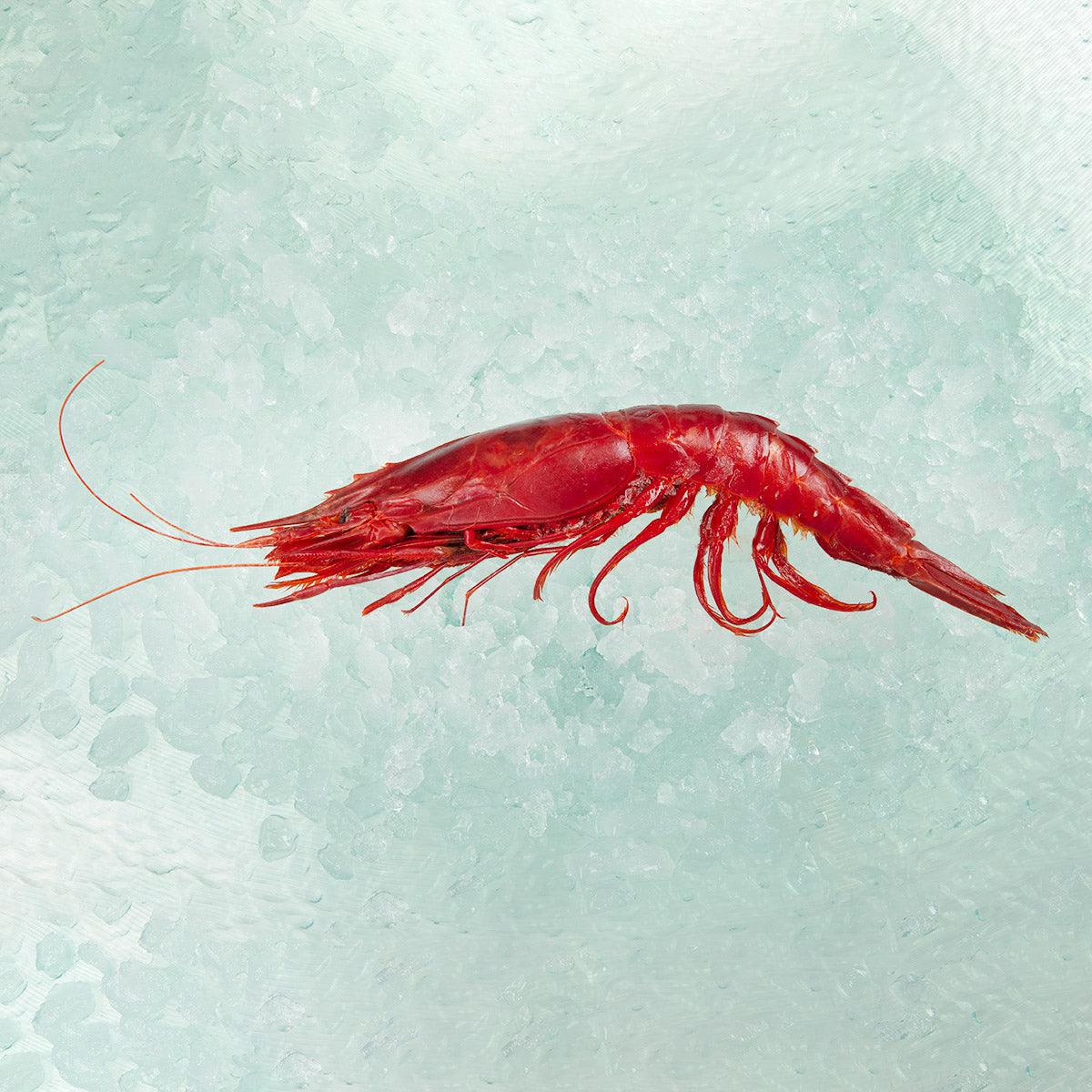 Spanish Frozen Jumbo Red King Prawn (300g) – city'super E-Shop